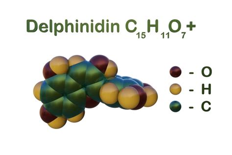 Delphinidin Over 6 Royalty Free Licensable Stock Illustrations And Drawings Shutterstock