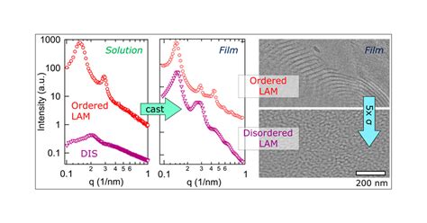 Systematic Approaches To Tailor The Morphologies And Transport