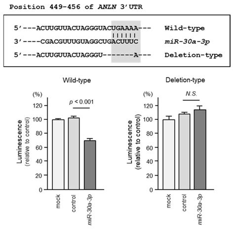Non Coding Rna An Open Access Journal From Mdpi