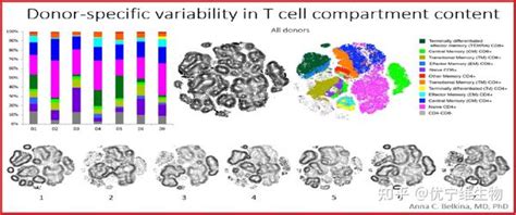 【罗工流式秘籍60】flowjo图像展示方式的合理选择与适用情况（下） 知乎