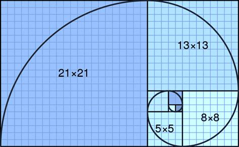 Fibonacci Sequence In Architecture My Xxx Hot Girl