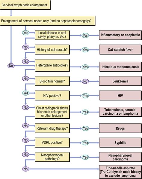 6 Cervical Lymphadenopathy Pocket Dentistry