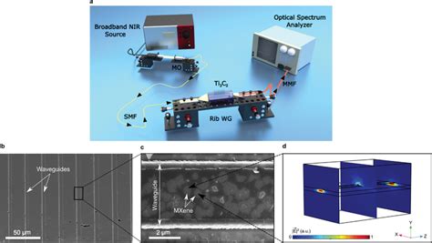 experimental evidence of all‐optical nonlinear activation function on a