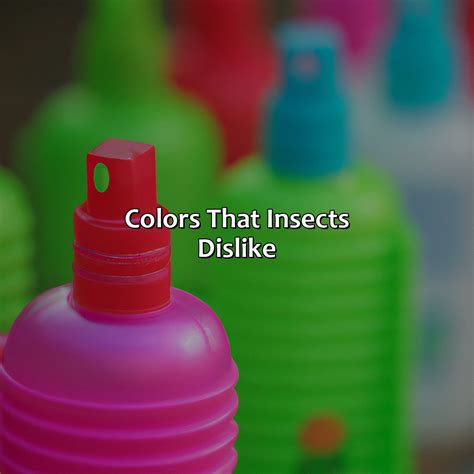 What Color Do Bugs Hate
