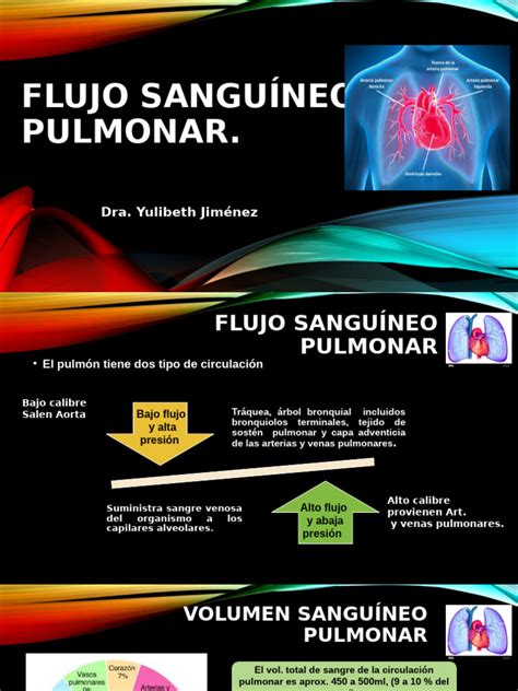 Flujo Sanguíneo Pulmonar Pdf Pulmón Sistema Circulatorio