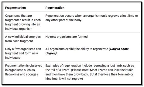 What Is Difference Between Fragmentatio And Regenration