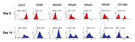 Nk细胞：分离扩增nk细胞、形态鉴定、表面标志物技术 Ouq技术分享