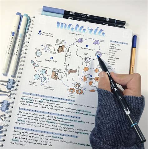 Pin By ChillaVanilla On Study Aesthetic In 2024 Nurse Study Notes Study Notes Notes Inspiration