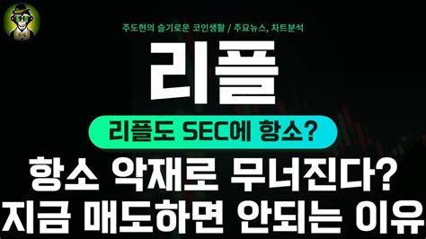 리플 곧 다시 올라갑니다 두고보세요 Youtube
