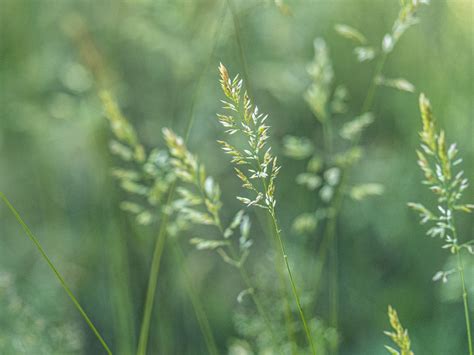 A Step On The Path To Net Zero Webinar