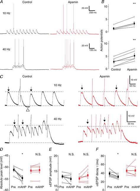 Effects Of Mahp Blockade On Somatic Synaptic Integration Under Download Scientific Diagram