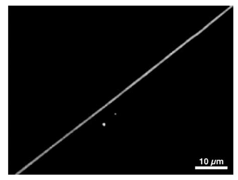 Silica Nanofibers And Subwavelength Diameter Fibers Fosco Connect