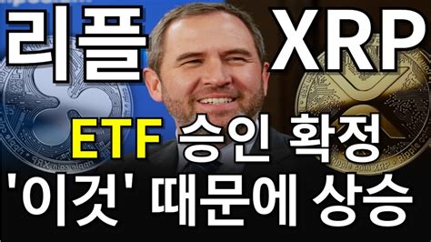오피셜 리플 이것 때문에 무조건 대폭발합니다 Youtube