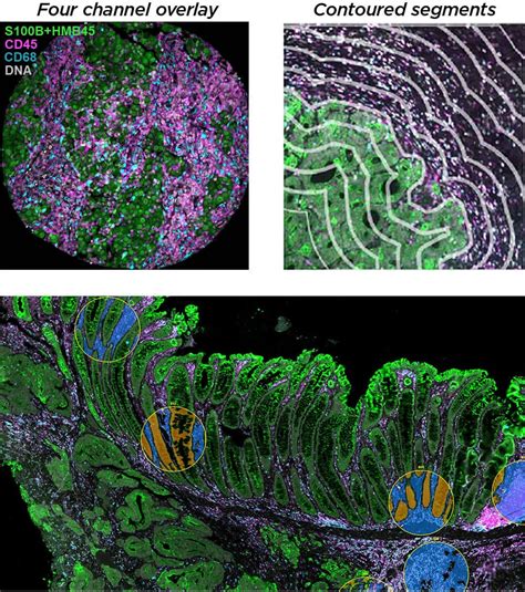 GeoMx Data Center An End To End Software Solution