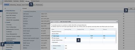 Set Esxi Firewall Rules