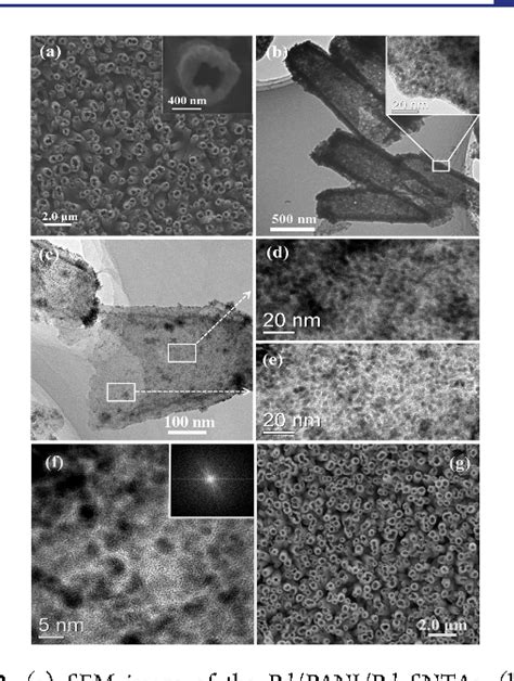 Figure 1 From Design Of Pd Pani Pd Sandwich Structured Nanotube Array Catalysts With Special
