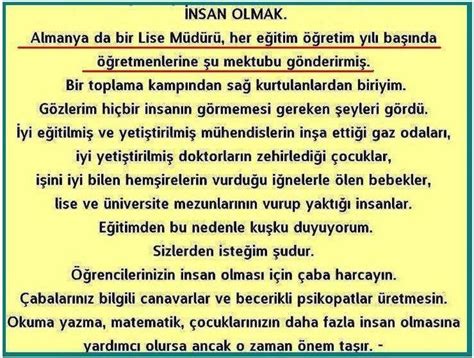 Learn Different Languages With This Fun And Educational Chart