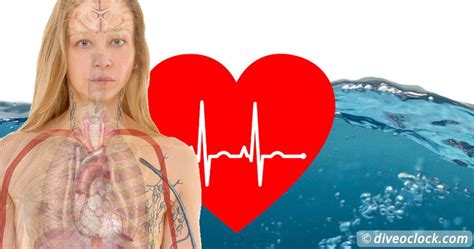 Scuba Quiz What Is Decompression Illness Dive Oclock