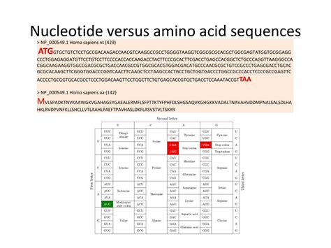 Ppt Understanding Human Hemoglobin Gene Hba1 On Chromosome 16 Powerpoint Presentation Id 2859643