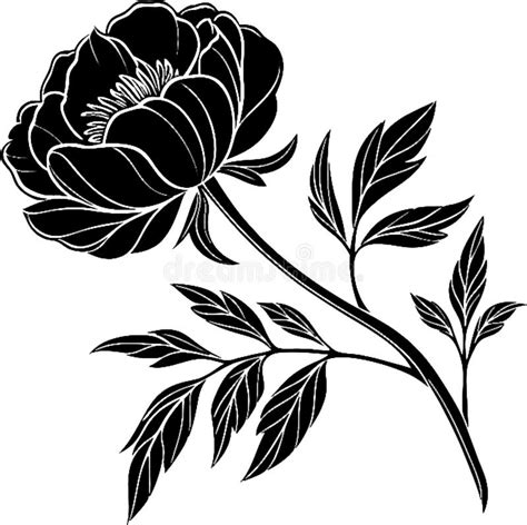 Beautiful Tree Peony Black Stencil Clipart Design Stock Illustration