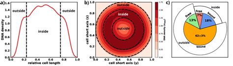 A The Chromosome Linear Density Demarcating The Regions Which Can Be