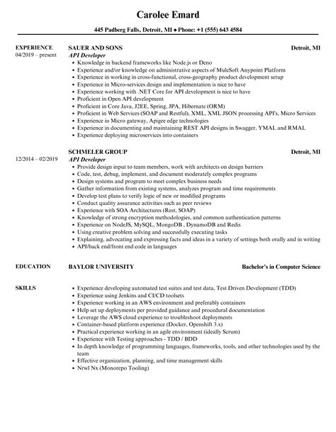 Api Developer Resume Samples Velvet Jobs
