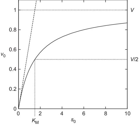 Initial Velocity V Plotted Against The Initial Substrate Download Scientific Diagram