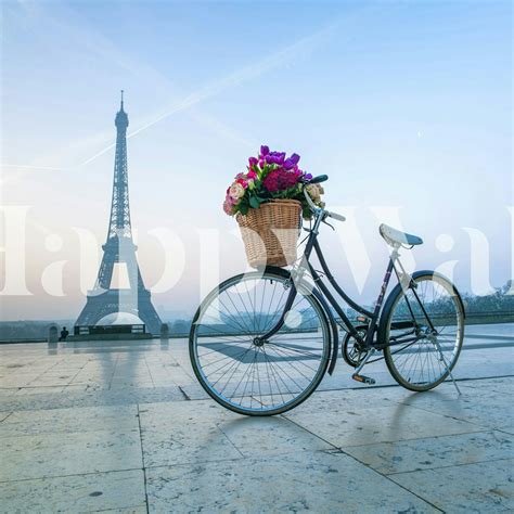 Floral Paris Ride Wallpaper Happywall