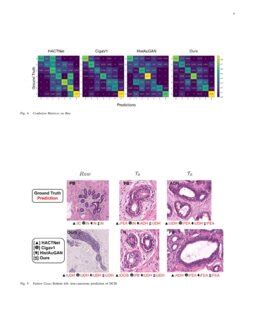 Stain Invariant Self Supervised Learning For Histopathology Image Analysis DeepAI