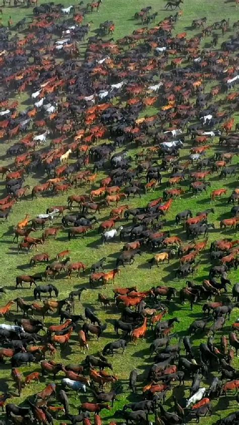 художественная гимнастика в 2025 г Гимнастика Художественная гимнастика Подростковые фотографии