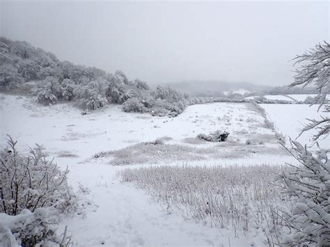 Snow Cats In The Chilterns Kitenet