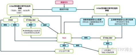 大咖解读：ntrk基因融合肿瘤的诊断和检测 知乎