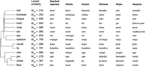 Cluster Analysis Of The Face Stimuli With Average Lexical Form