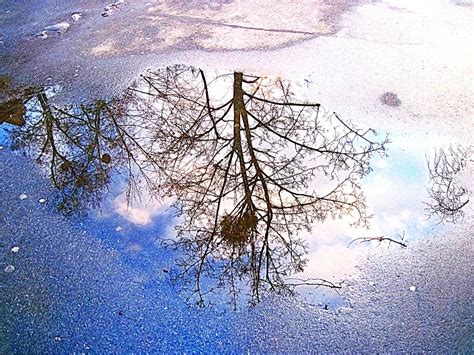 Фото природа