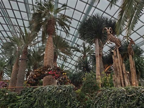 Flower Dome Ticket Prices And Admission Gardens By The Bay Singapore