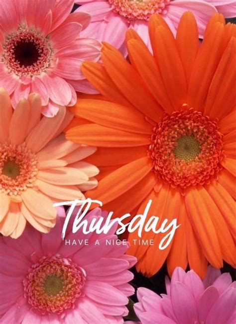Happy Thursday Flowers