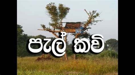 පැල් කවි 5 ශ්‍රේණිය Youtube