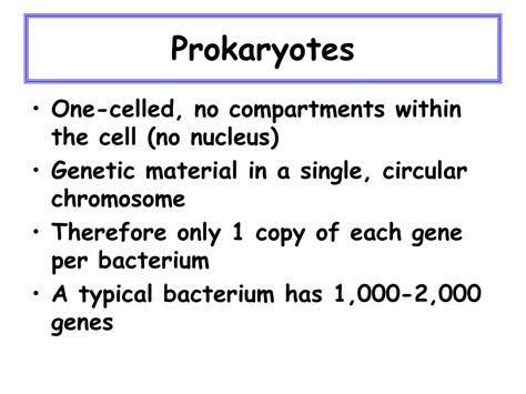 PPT Tree Of Life Prokaryotes And Eukaryotes PowerPoint Presentation ID