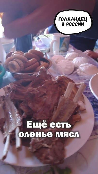 Голландец на Ямале завтракаю у оленеводов Youtube