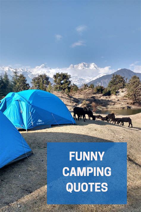 101 Funny Camping Quotes And Captions For Instagram