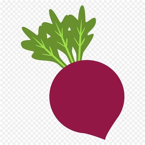 水萝卜素材png图片素材下载图片编号9866441 Png素材网