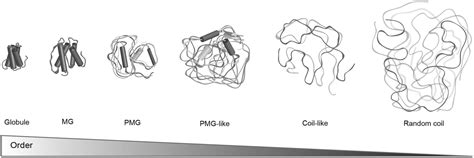 Protein Sketch At Explore Collection Of Protein Sketch
