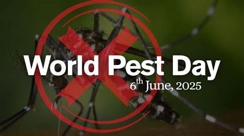 World Pest Day Top 5 Pests Indians Are Fighting In 2025 And How To