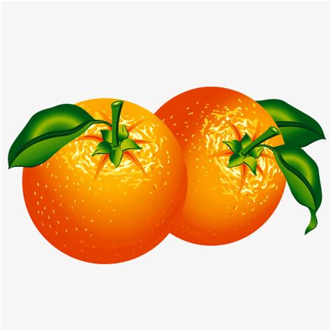 Cartoon Oranges Orange Cartoon Material Vector Material Mito