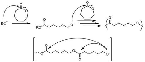 Ring Opening Polymerization Alchetron The Free Social Encyclopedia