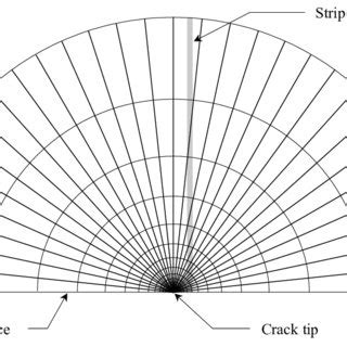 Schematic Of The Used Finite Element Mesh Download Scientific Diagram