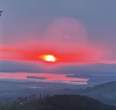 Github Trolllemoncplus Palette Command Line Utility That Generates A Color Pallet Based On