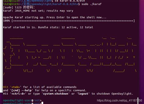 opendaylight安装全过程（包含odl碳软件） 安装opendaylight本地化界面后默认用户名和密码 csdn博客