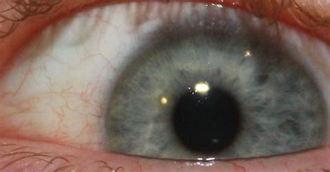 Taking Macro Photos Is Fun Album On Imgur