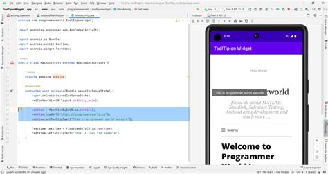 how to set tooltiptext over any widget s view example webview